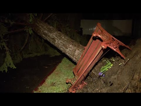 Trees, power lines downed in Howell Township after severe storms