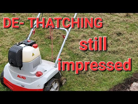 De- thatching to a maintenance job lawn