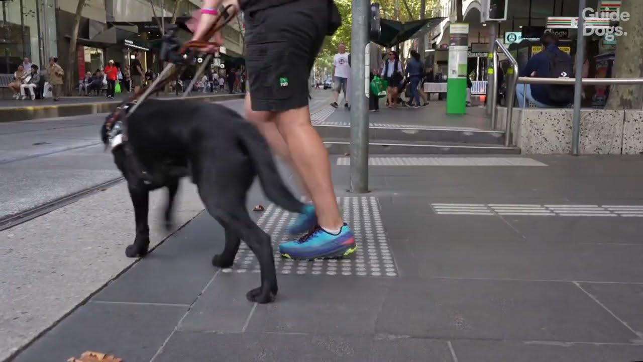 International Guide Dog Day 2026 - Built to G.U.I.D.E