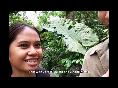 Exploring Bohol Enchanted