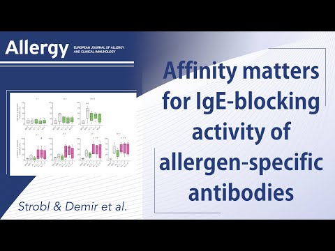 Affinity matters for IgE-blocking activity of allergen-specific antibodies