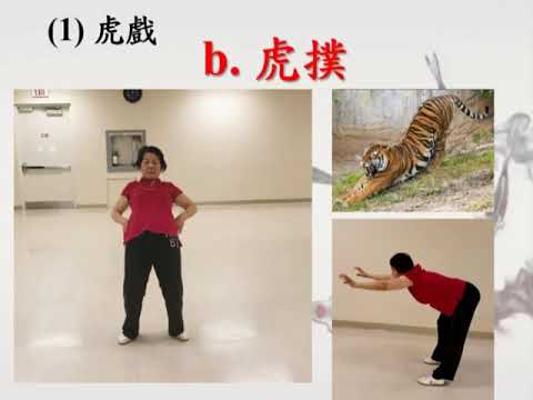 Tai Chi with Min (Tiger) - 五禽戲 1 虎 - Yee Hong