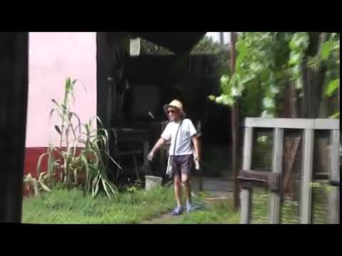 Steam Community :: Video :: XXDDDD