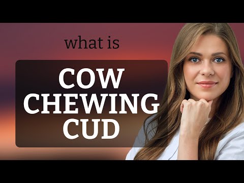 Understanding "Cow Chewing Cud": A Phrase Explained