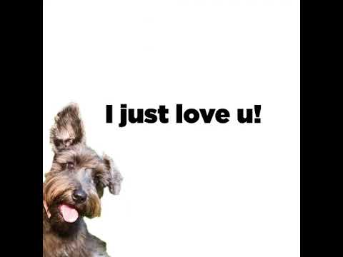 Buddy's Best The Meaning of Life