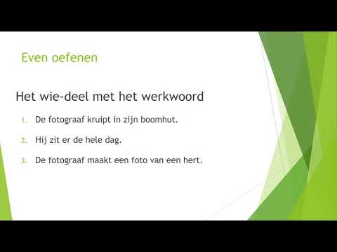 Zinsdelen - Het onderwerp