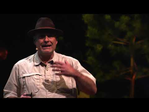 Listen to the Earth | Bryan C. Pijanowski | TEDxArendal