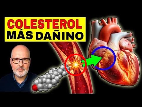 THIS is the MOST HARMFUL CHOLESTEROL (WHAT TO DO)