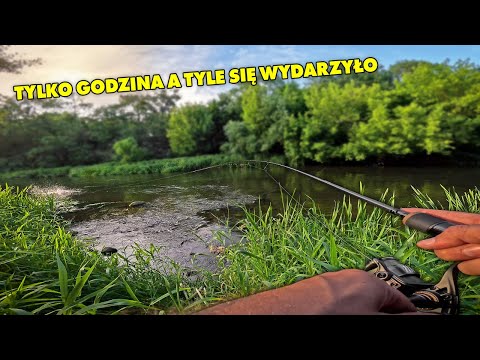 Pomysł na RYBY jak masz mało czasu !