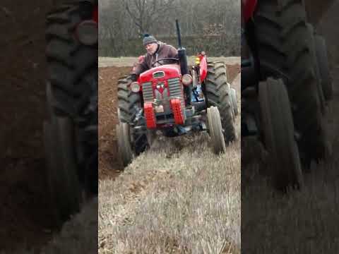 Massey Ferguson 65 Ploughing at Hatfield Woodhouse. Doncaster - Sunday 5th March 2023