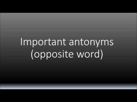 Antonyms (opposite word) for competitive exam