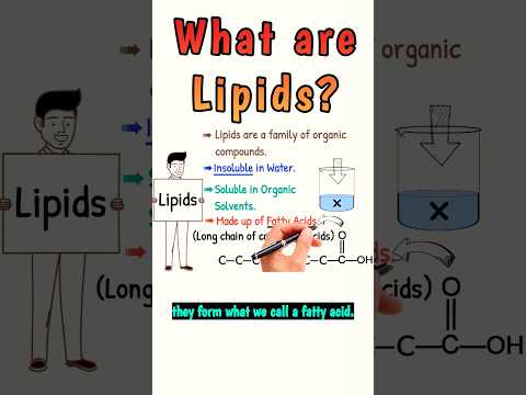 what are Lipids? #lipids #lipid #fattyacid #chemistry #shortvideo #viral #short