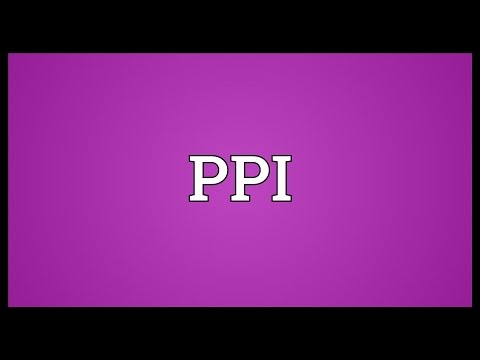 PPI Meaning