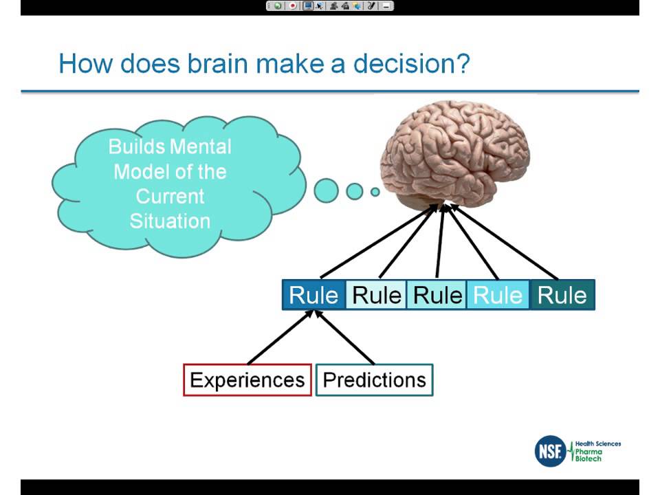 NSF Health Sciences Webinar: Human Error Prevention | NSF International
