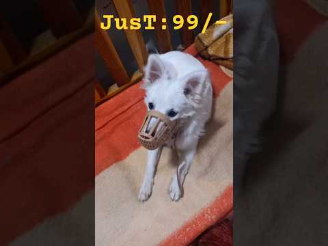 unboxing dog mask meesho low price #meesho SUSCRIBE PLEASE 🥺 #unboxing #shorts Link 👇