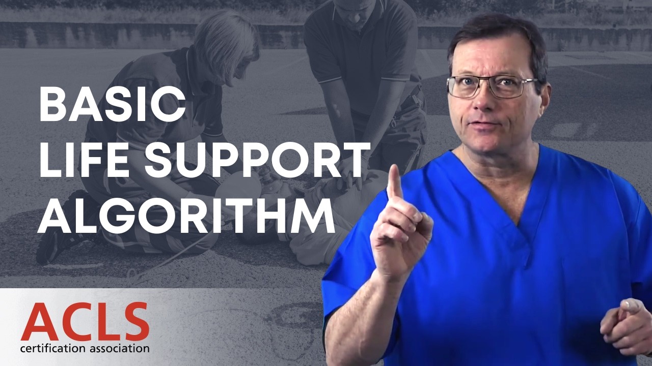 Adult BLS Algorithm for Healthcare Providers | ACLS Certification Association
