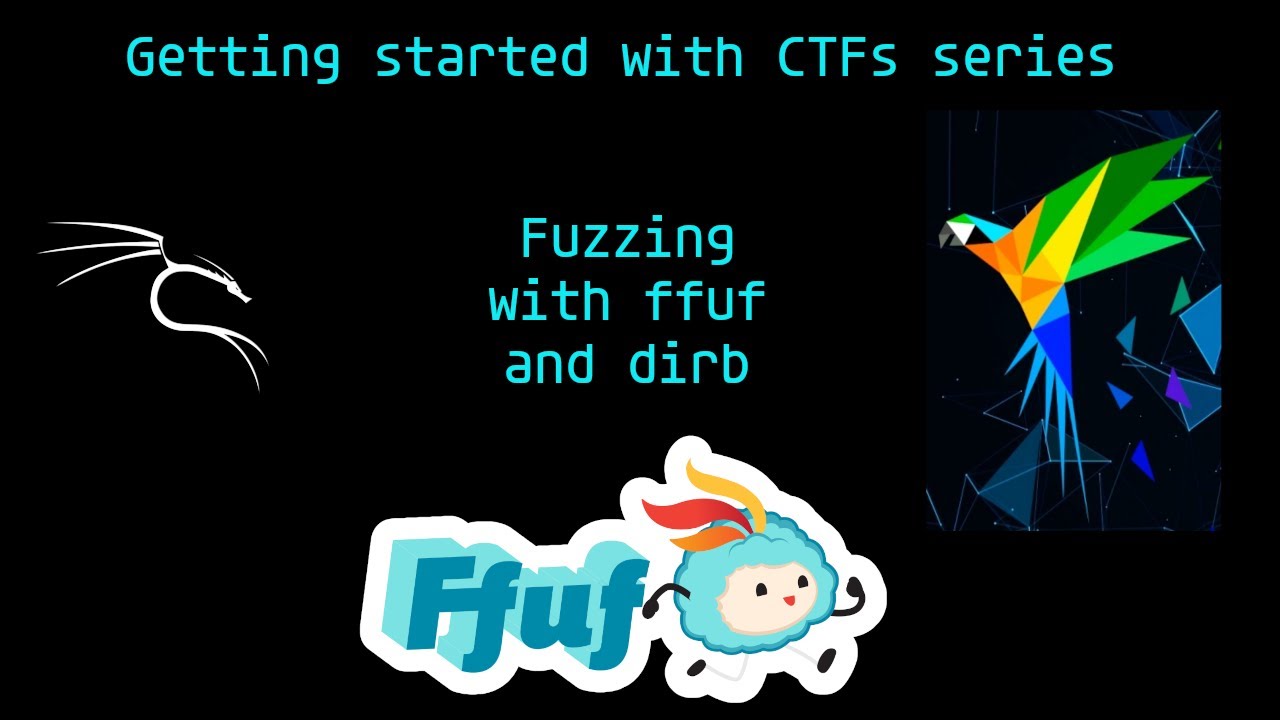 CTF Guide - Fuzzing