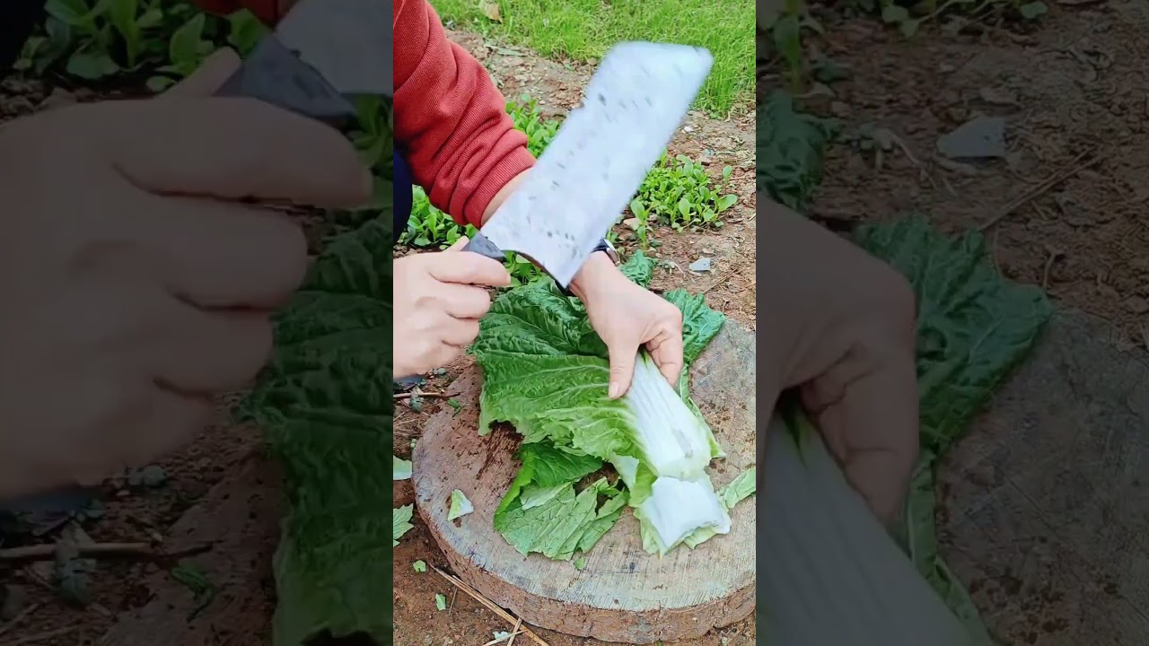 GI151390 mini rotary tillage and ridging all-in one tree🌲 short view#shorts