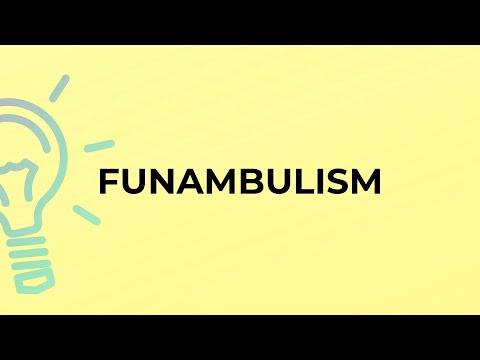 What is the meaning of the word FUNAMBULISM?