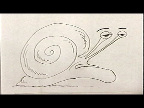 Allergic Reaction, Boxing Match, Guitarist, & Bonus - Animations from 2000