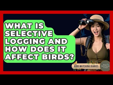 What Is Selective Logging And How Does It Affect Birds? - Bird Watching Diaries