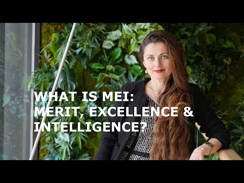 What is MEI: Merit, Excellence & Intelligence ?