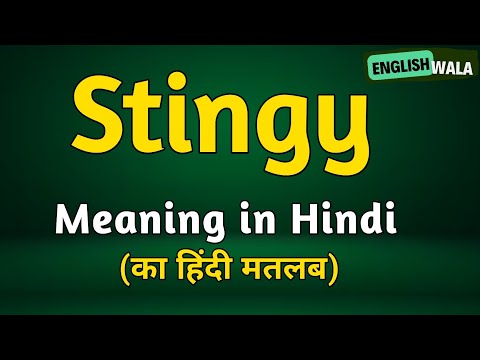 Stingy meaning in hindi | Stingy matlab kya hota hai | Stingy explained