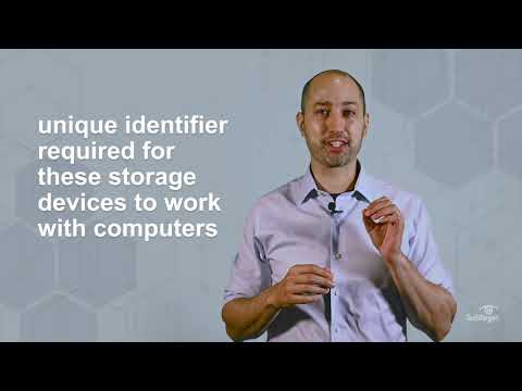 What is a Logical Unit Number (LUN) and Why is it Important?