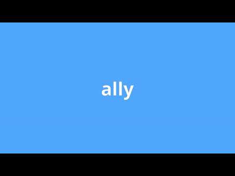 what is the meaning of ally
