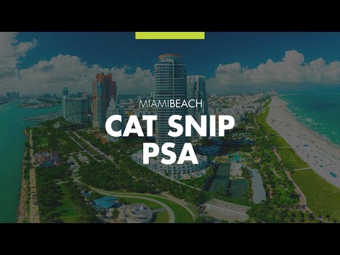 Project CatSnip Public Service Announcement – Help meowt and donate ...