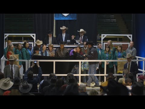 NWSS 2019 - National Western Stock Show