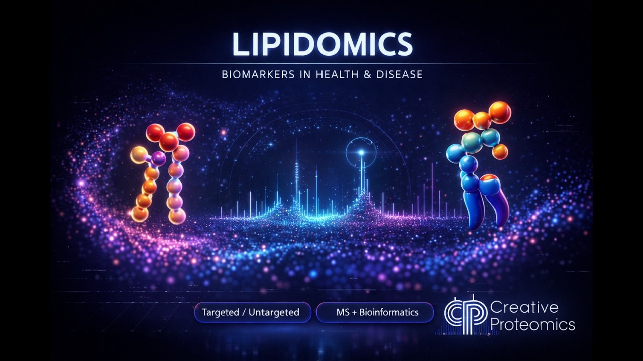 Lipidomics for Biomarkers | How Lipids Drive Inflammation, Signaling, and Disease