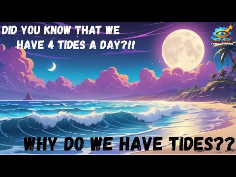 Why do we have tides?