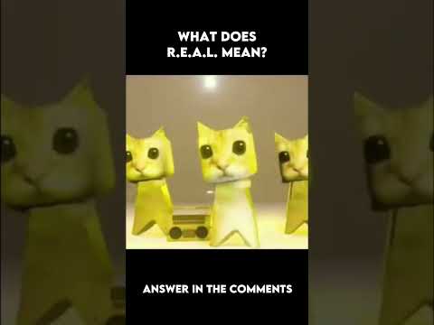 What does R.E.A.L. mean? (Funniest one gets favorited!)
