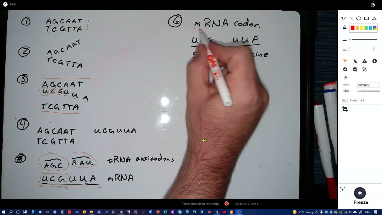 Lab 2 Exercise 10 instructions