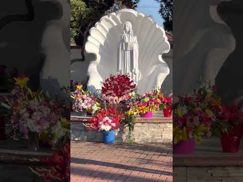 Di tham Duc Me Long Beach, California