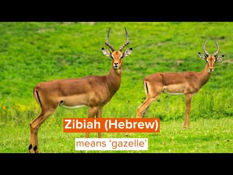 Deer Names With Meanings For Your Characters