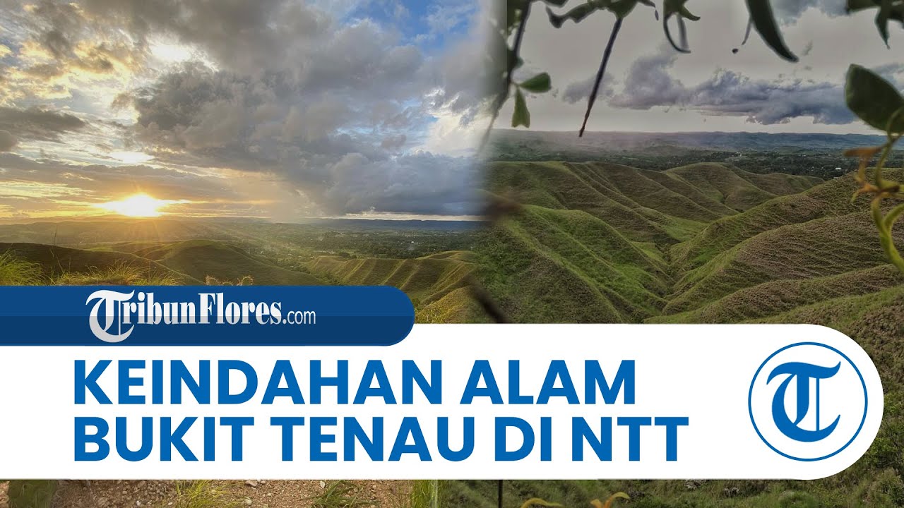 Menikmati Keindahan Pemandangan Alam Khas Sumba NTT di Bukit Tenau ...