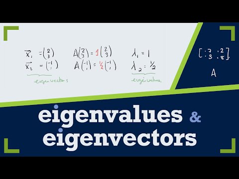 Introduction to Characteristic Polynomial, Eigenvalues and Eigenvectors Video Lecture ...