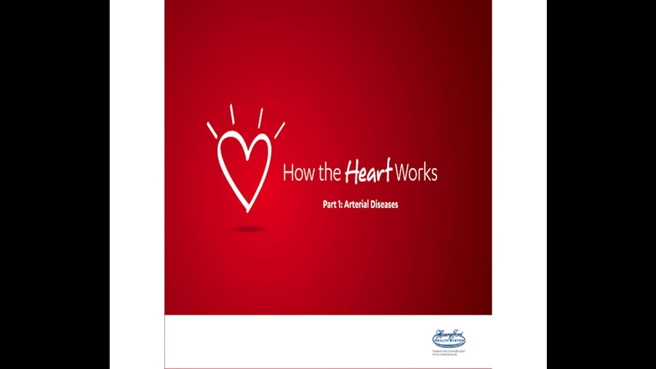 Anatomy 1 Part 1: Coronary Anatomy and Heart Disease