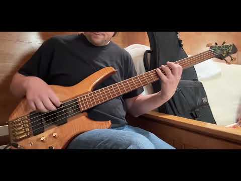 Status S2 Classic Headed Graphite 5 String Bass | Reverb