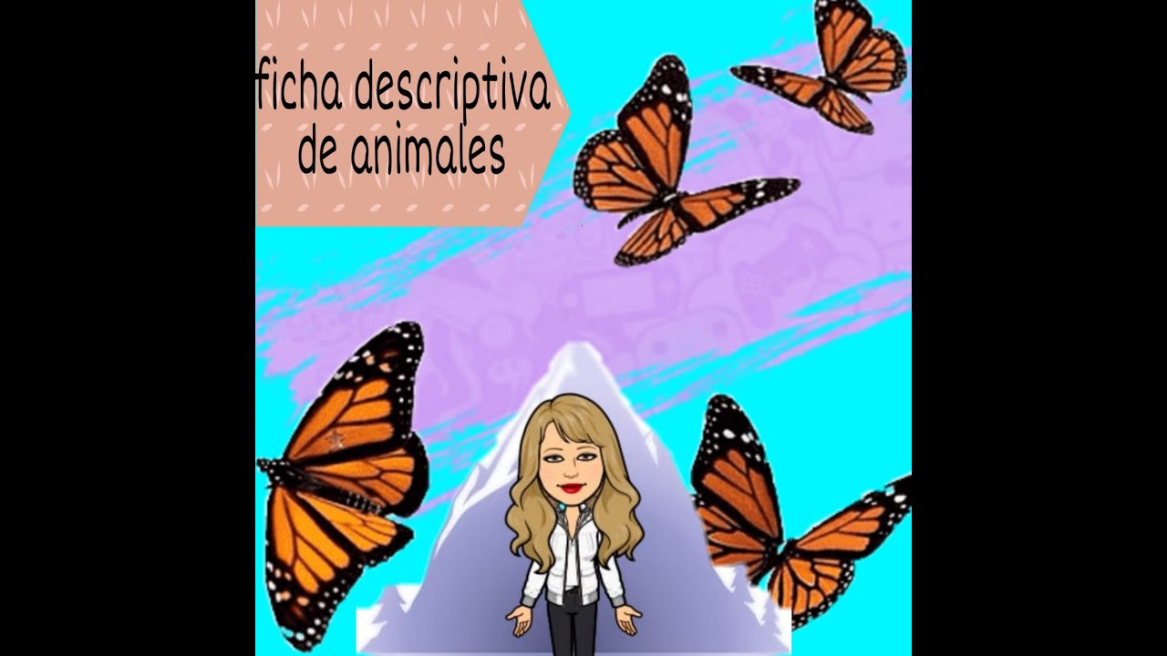 Fichas informativas o descriptivas