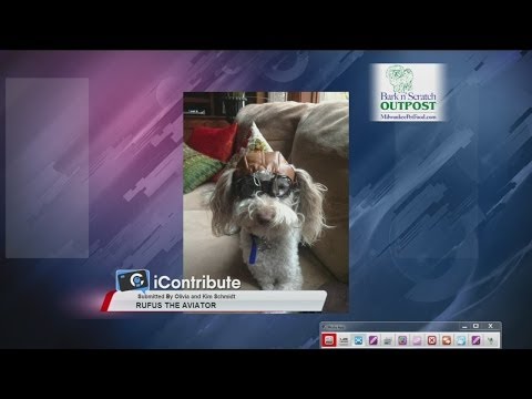 Scott's Pet Pics, Feb. 28