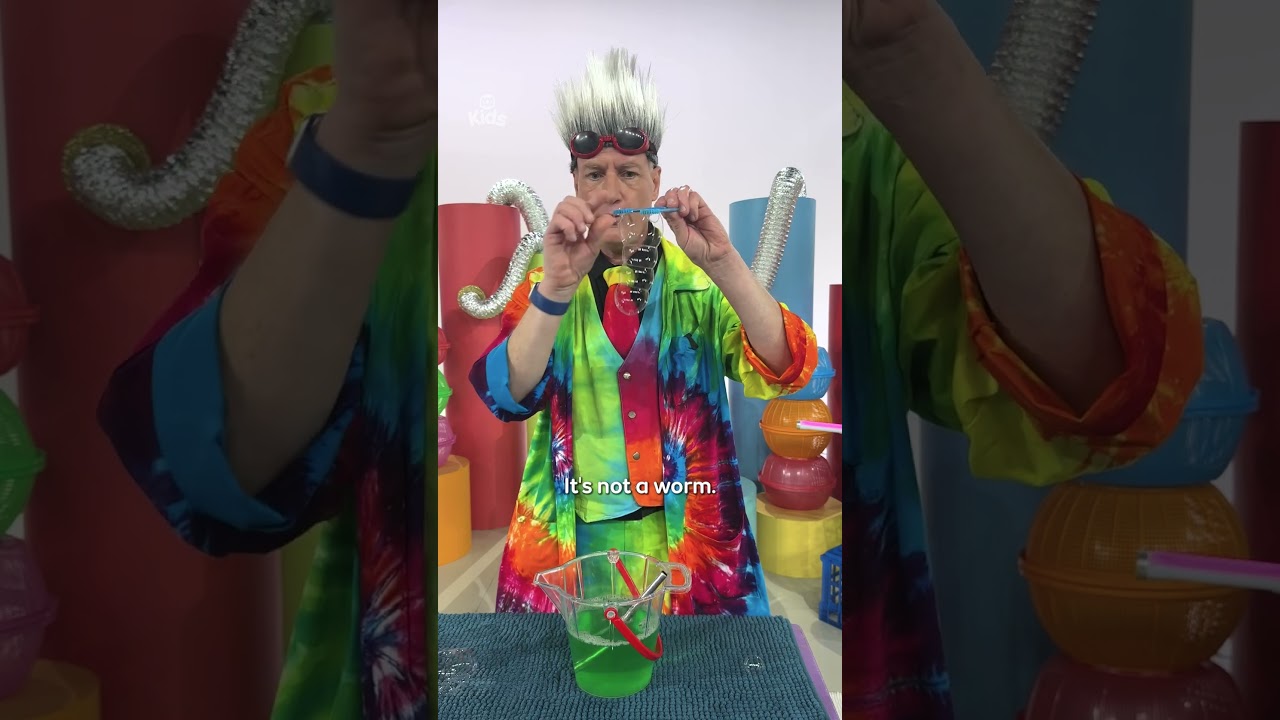 Making A Bubble Caterpillar | Play School: Science Time