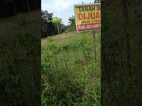 tanah dijual luas satu Rante