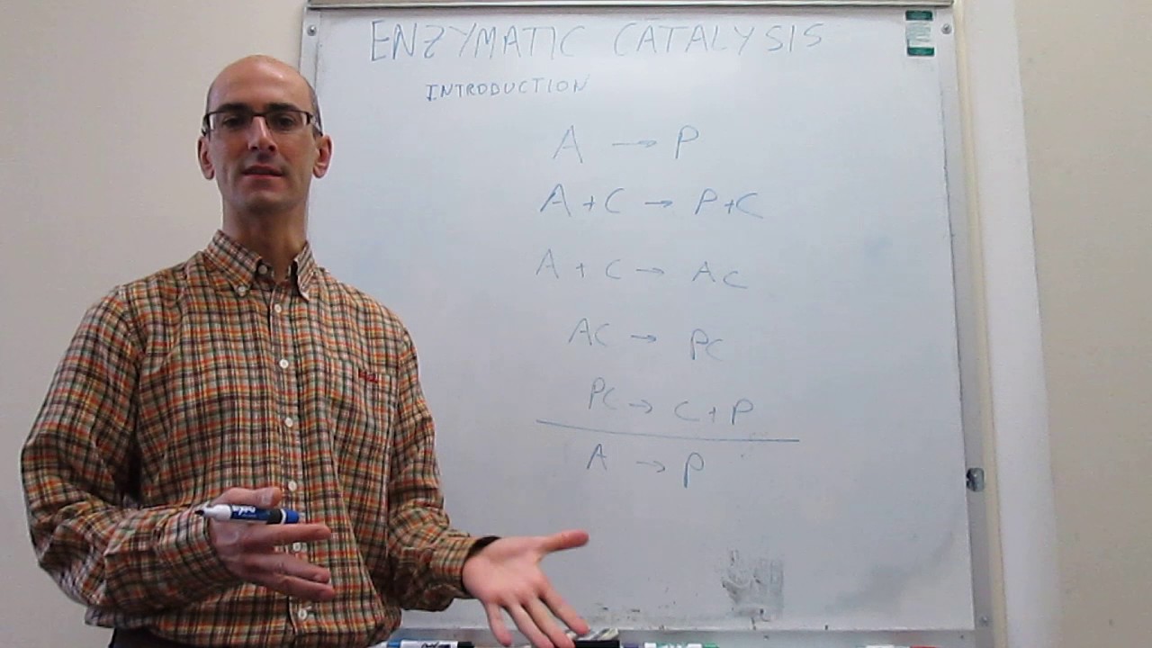Enzymatic catalysis. Introduction
