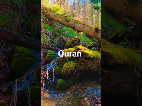 Surah Baqarah ayat 214 Urdu translation