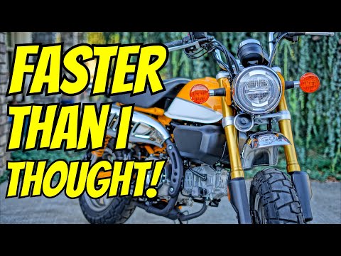 2019 Honda Monkey - Top Speed - Stock - No Mods - MPH VERSION