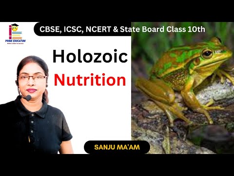 Holozoic Nutrition kya hota hai | Holozoic Nutrition | Class 10 Utsah Batch 2023-24 (primeeducatum)