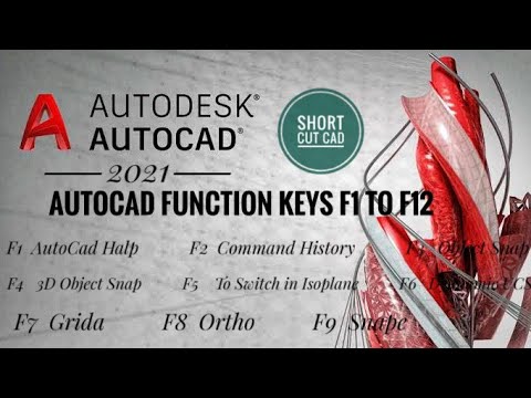 –AutoCad 2021– How To Use Function Keys F1 To F12 in AutoCad